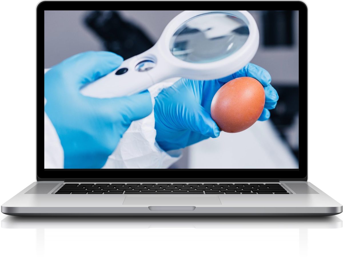 Product Innovations at Nutricell: Elevating Animal Nutrition and Health ...