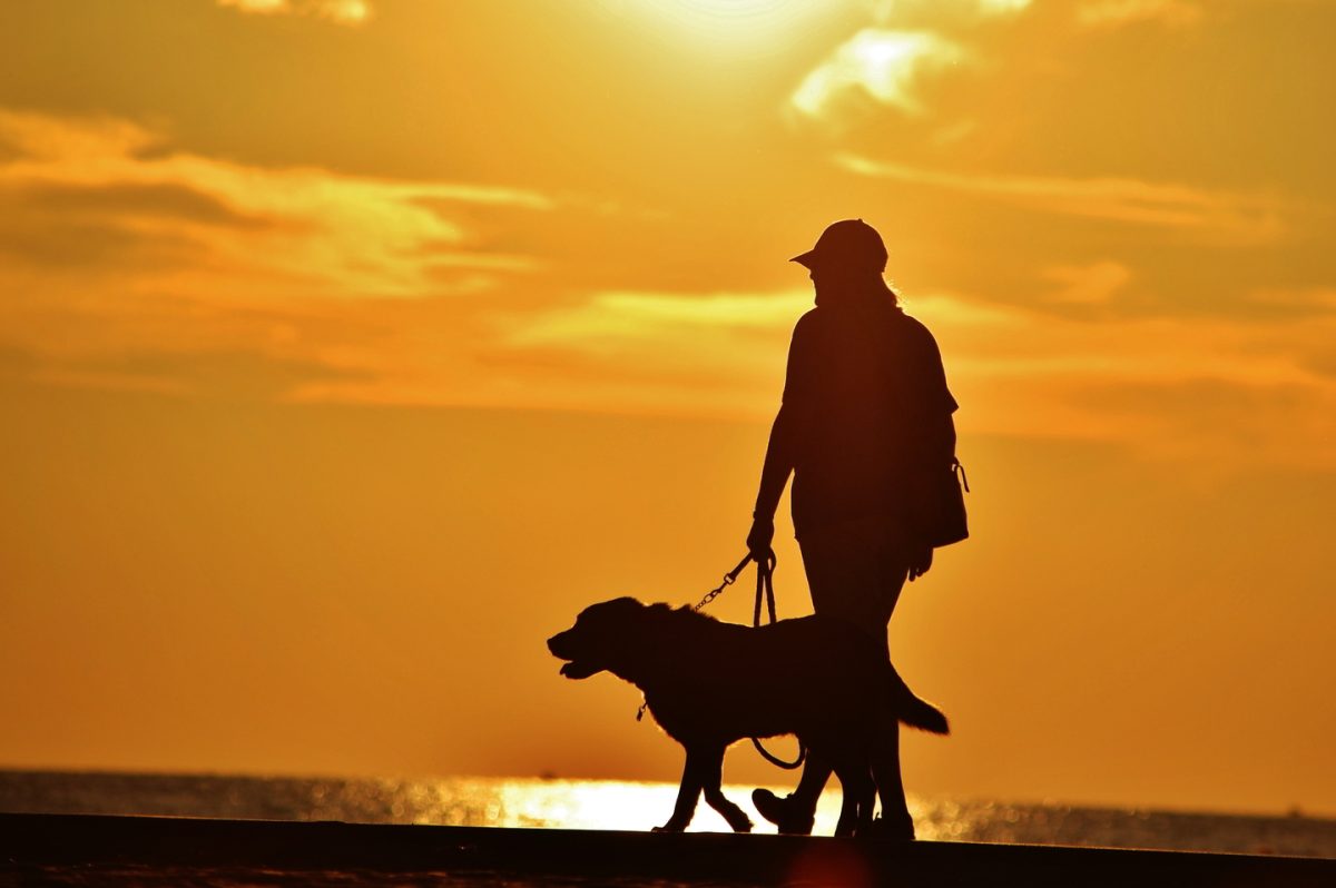 Nutricell Pet Care – Nutricell Pacific